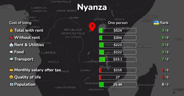Cost of Living & Prices in Nyanza: rent, food, transport