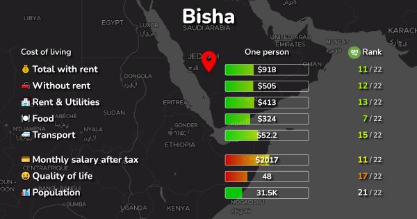 Cost of Living & Prices in Bisha: rent, food, transport