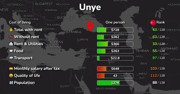 Cost of Living & Prices in Unye: rent, food, transport